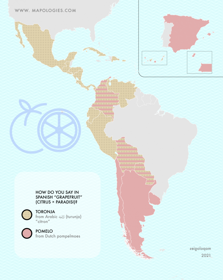 Grapefruit in Spanish : r/learnspanish